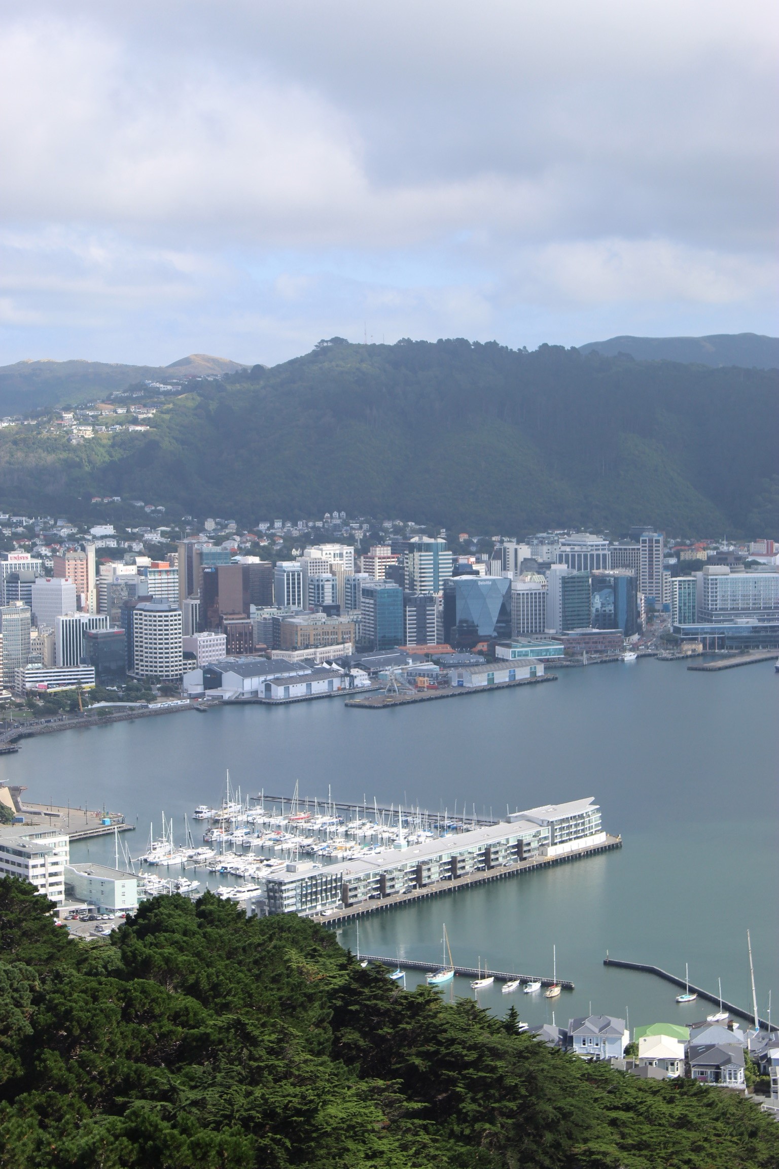 WorldStrides New Zealand: Victoria University of Wellington